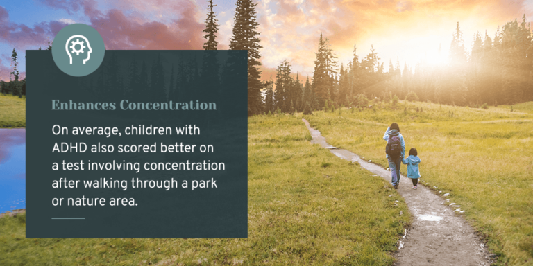 Why Time in Nature is Good For You | Taylor Counseling